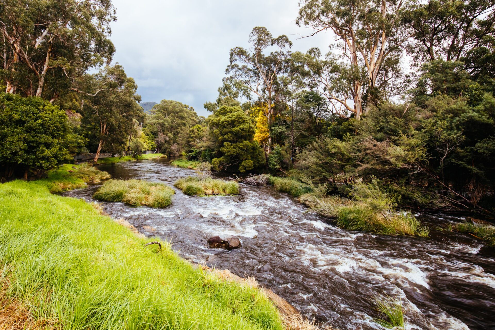 Meet the team behind Lachlan Valley water management and advocacy.